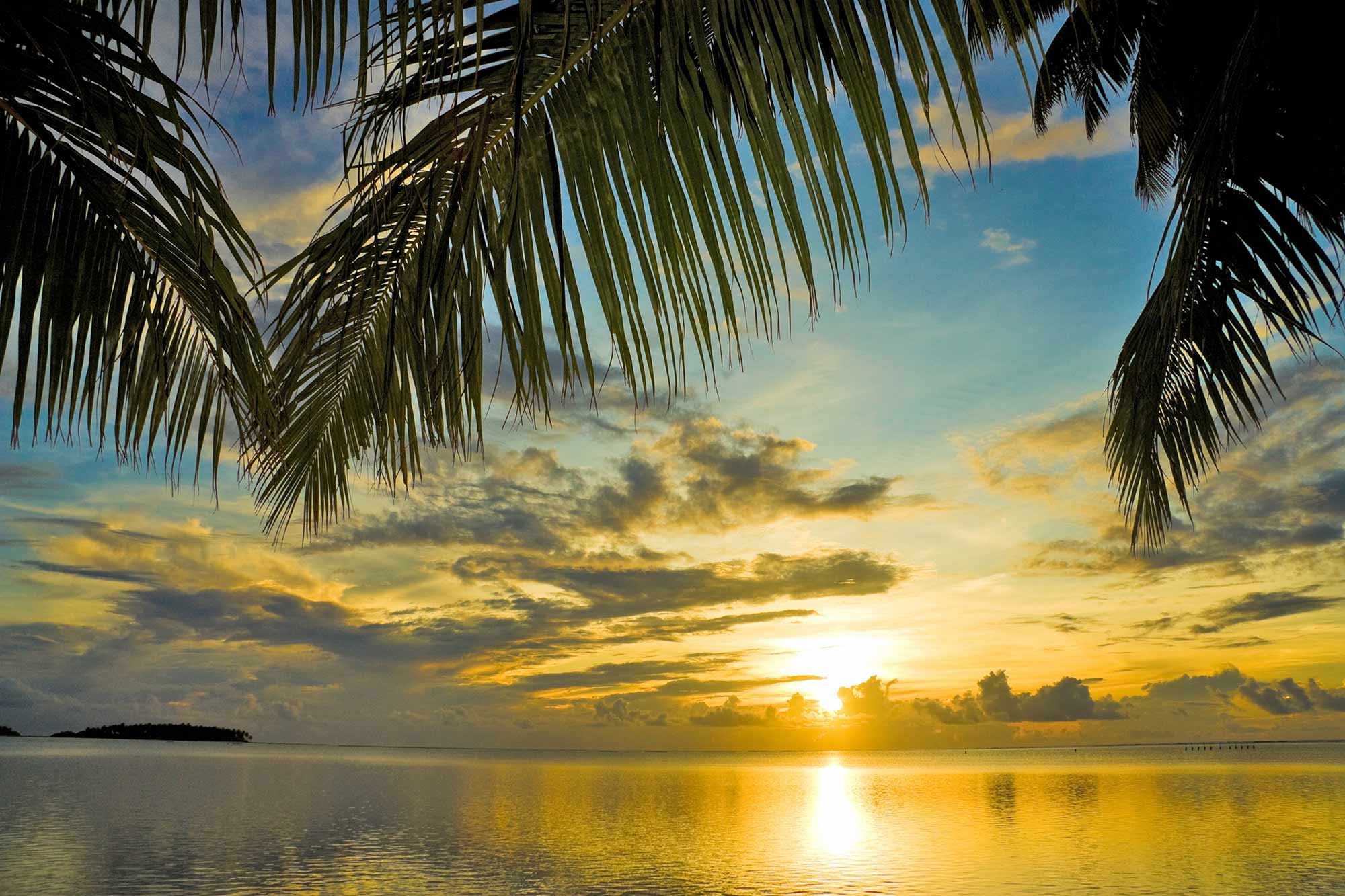 In-Home Services – Summit Guidance